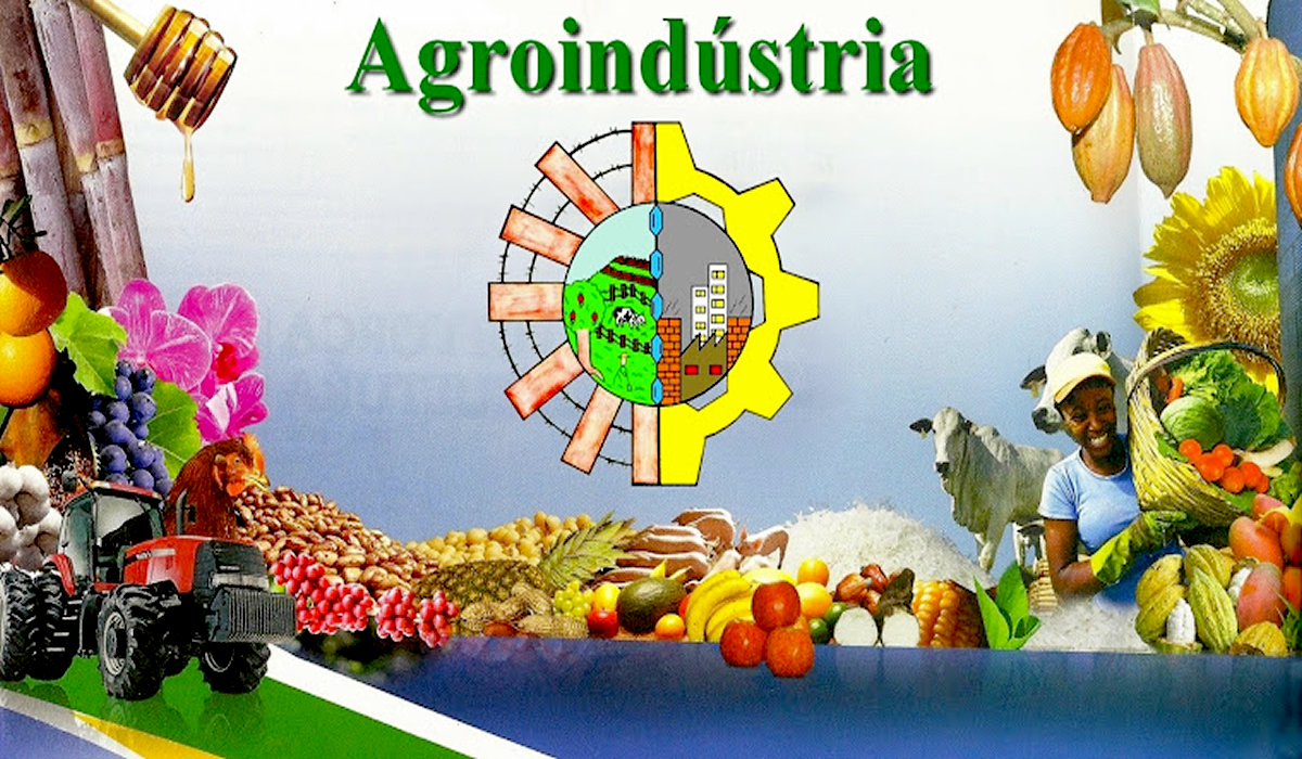 O que esperar do setor agroindustrial - Repórter Nordeste
