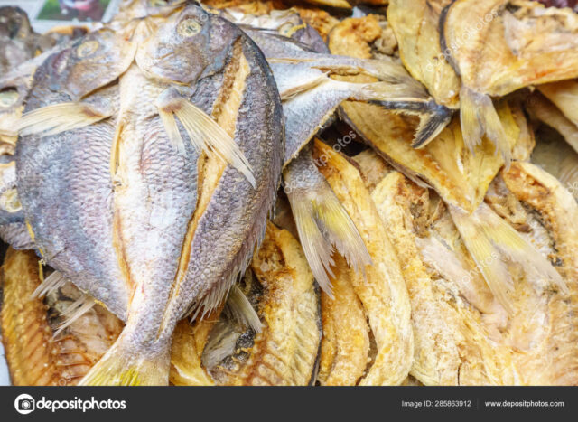 Não há amor, há peixe seco – Repórter Nordeste